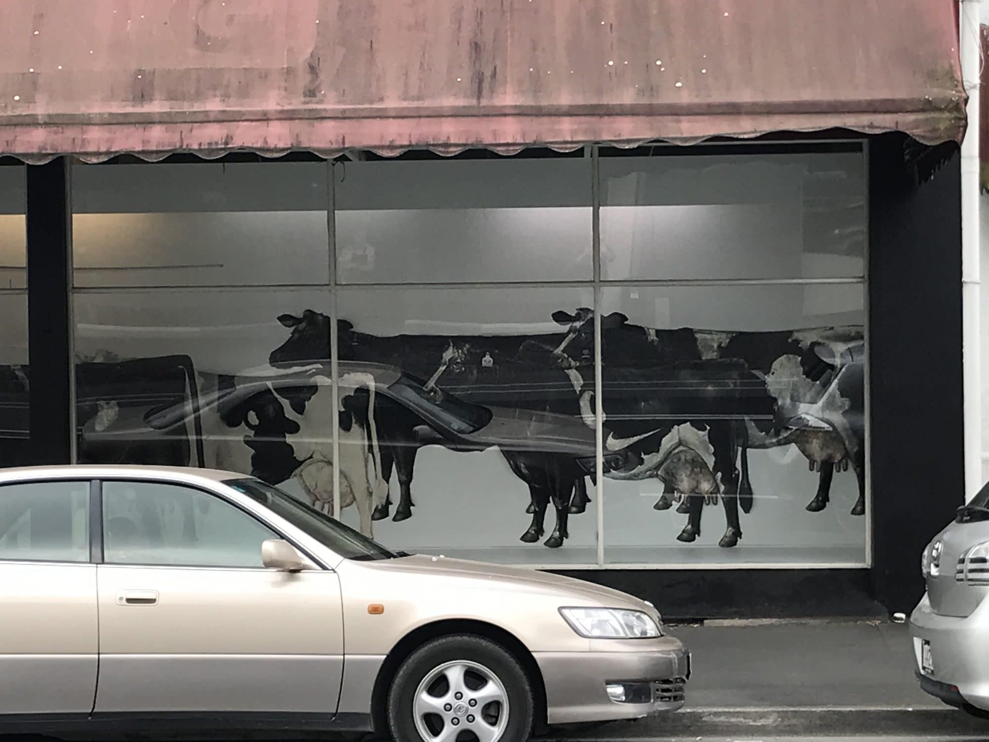 White Gold – Sally Burton – MakeShift